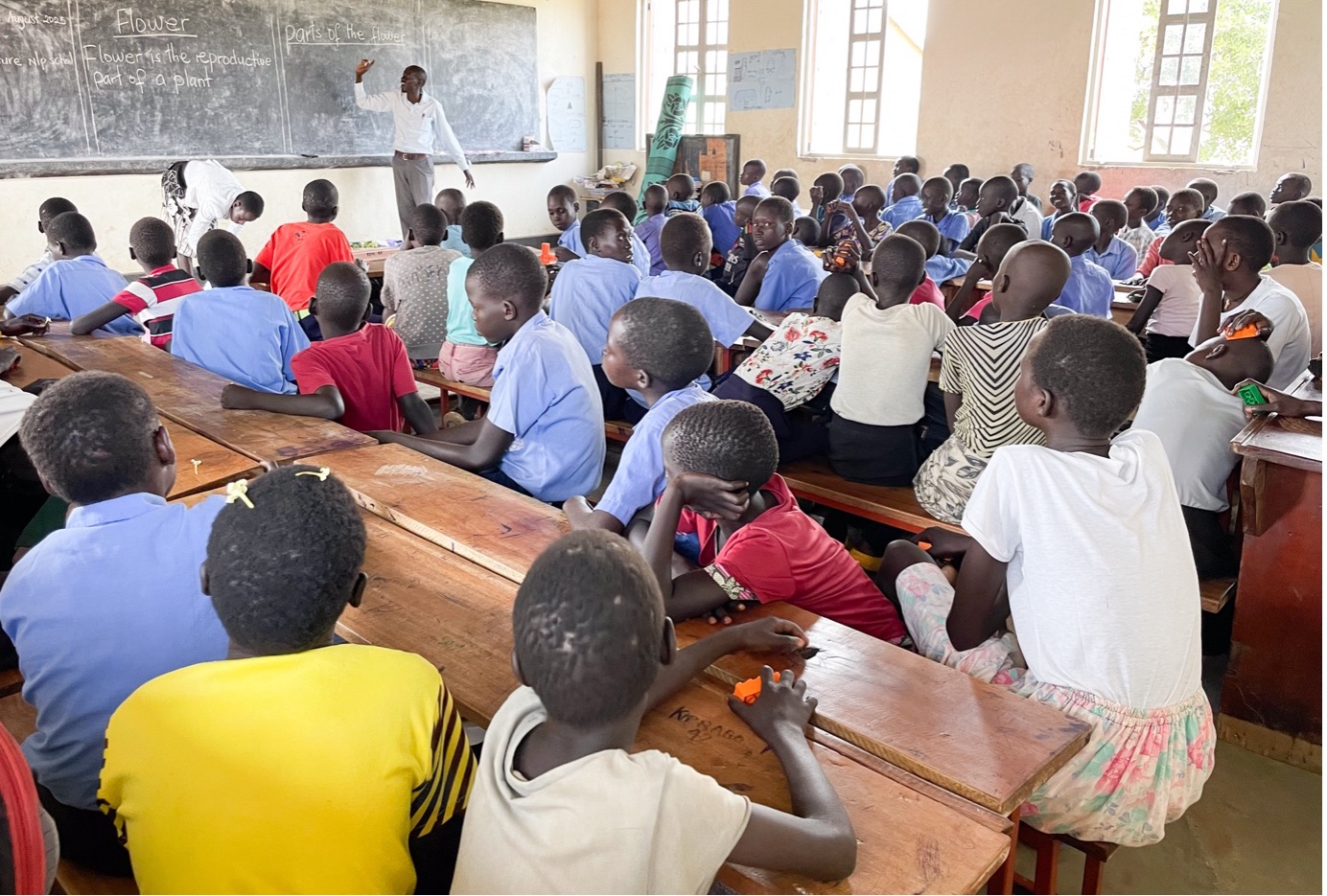 From a tree shade to classrooms of joyful learning | PlayMatters